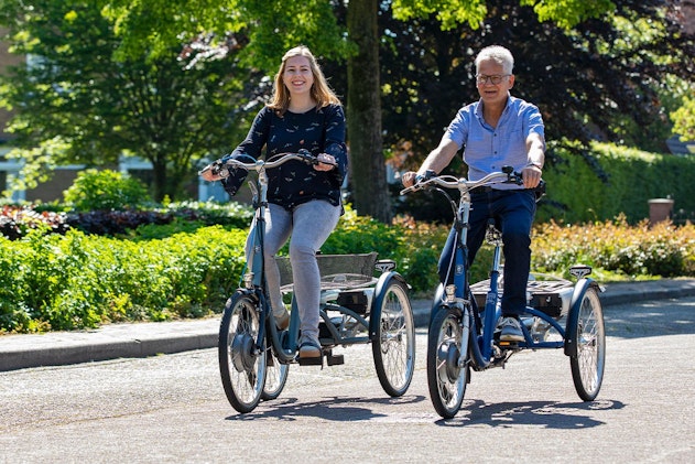 Tricycle Maxi | Three wheel bike for adults by vanRaam | vanRaam