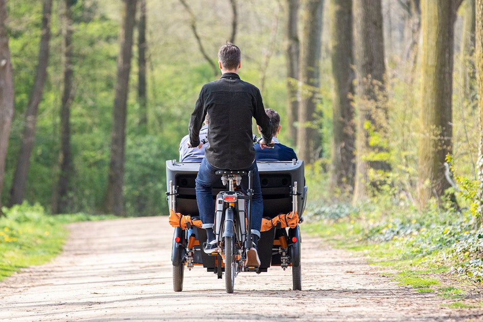Vélo pousse pousse Chat pour transport d'adultes| vanRaam
