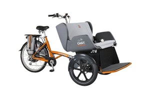 Easy Rider tricycle | Three wheel bike for adults by Van Raam | Van Raam