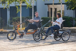 Easy Rider tricycle | Three wheel bike for adults by vanRaam