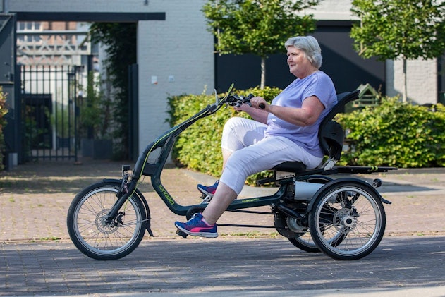 Easy Rider tricycle | Three wheel bike for adults by vanRaam