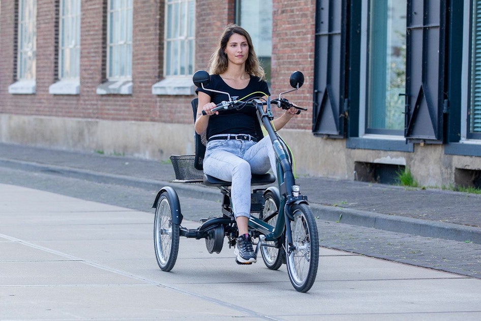 Easy Rider tricycle | Three wheel bike for adults by vanRaam