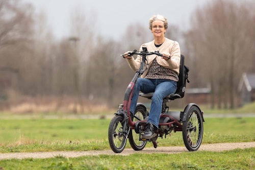 vanRaam Easy Rider Compact | Adult tricycle with a seat | vanRaam