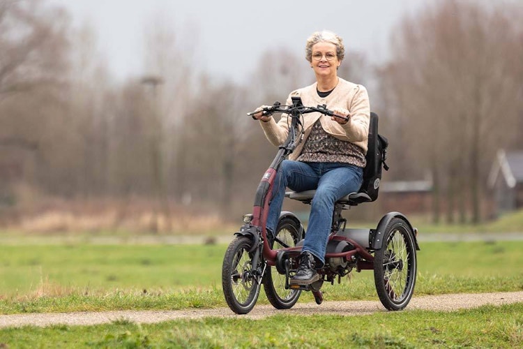 vanRaam Easy Rider Compact | Adult tricycle with a seat | vanRaam