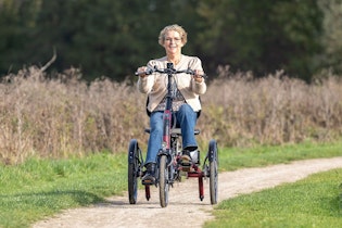 vanRaam Easy Rider Compact | Adult tricycle with a seat | vanRaam