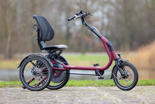 vanRaam Easy Rider Compact | Adult tricycle with a seat | vanRaam