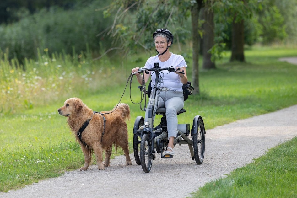 vanRaam Easy Rider Compact | Sesseldreirad von vanRaam | vanRaam